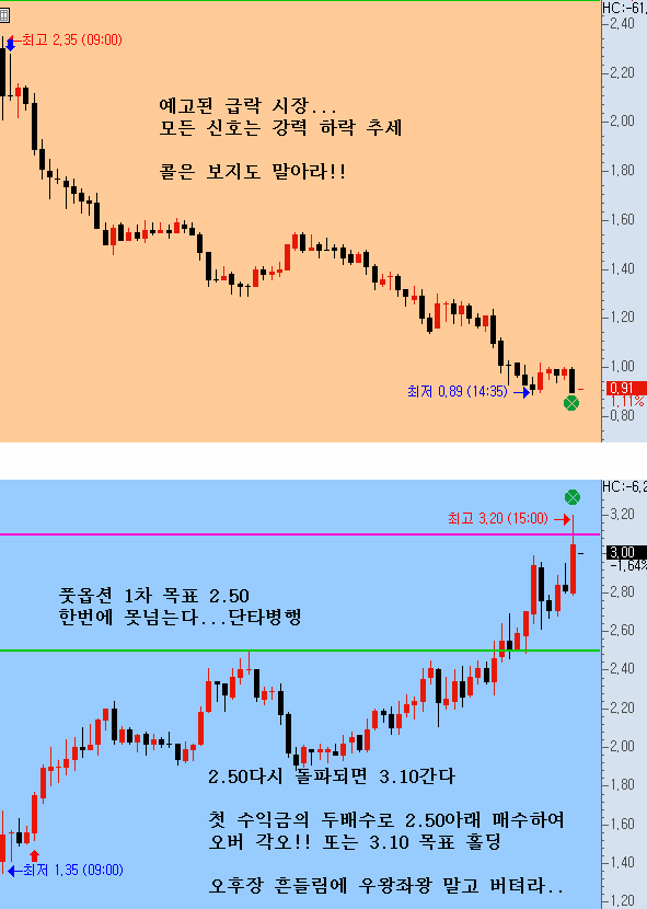 예상된 변동성 1차 분출 변동성은 우리의 바램 선옵전문가분석 선물옵션 팍스넷 증권포털